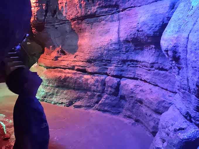 The walkway winds through chambers where every surface tells a story written in stone and water.