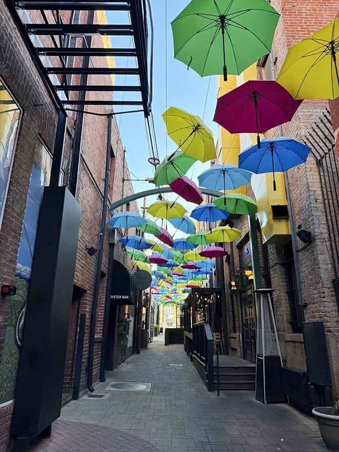 This walkway proves that sometimes the best views require you to stop scrolling and start looking up.