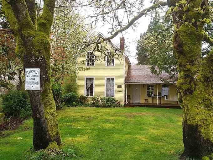 Victorian homes like this one remind us that architecture used to have actual personality.