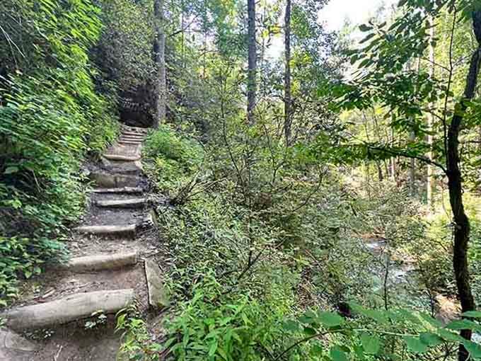 These wooden steps save your knees on the descent, bless whoever built them.