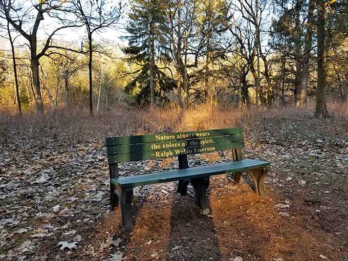 Sometimes nature whispers its wisdom through benches placed in just the right spot for contemplation.