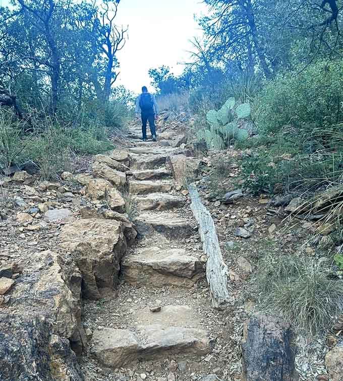 Stone steps lead upward through the wilderness, each one a small victory on your journey to spectacular views.