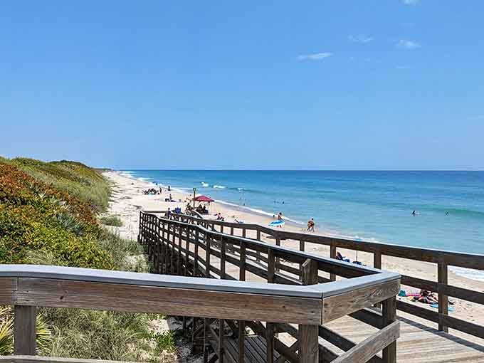 The boardwalk overlook offers front-row seats to nature's daily show, no ticket required for this performance.