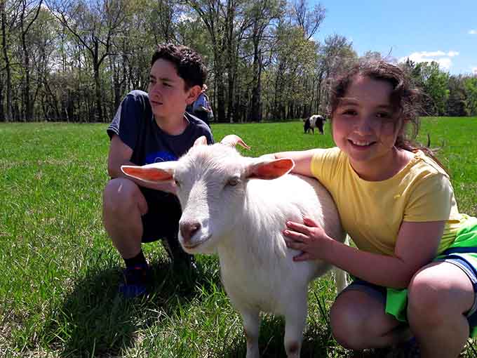 Meeting a friendly goat face-to-face creates memories that last long after you've left the farm.