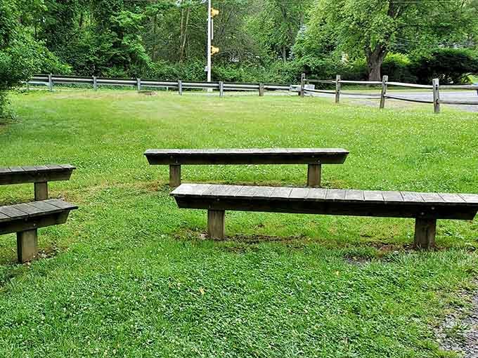 Perfect spots to rest after your fossil hunting expedition and contemplate your newfound connection to prehistoric times.