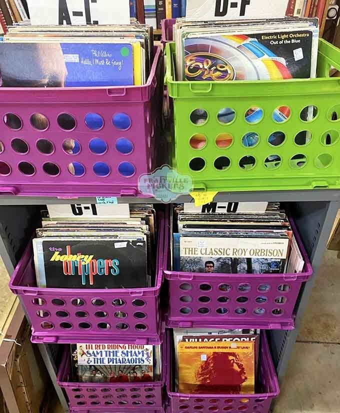 Vinyl records organized in colorful crates, because some music formats refuse to die and we're grateful for it.