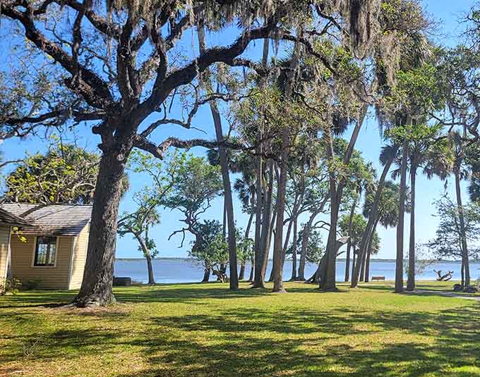 River views framed by palms and oaks create postcard-perfect scenery that your camera roll absolutely needs right now.