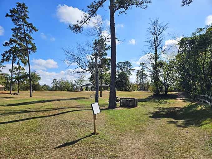 Perfect spot to rest your weary bones after hiking, with shade and tables overlooking this unexpected wonder.