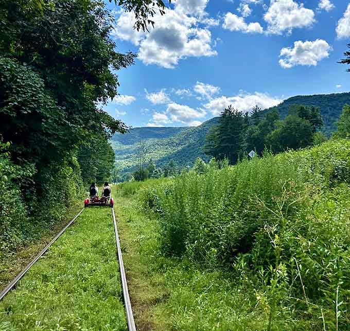 Rolling through wildflower-dotted meadows with mountains rising ahead beats any treadmill view you've ever stared at, guaranteed.