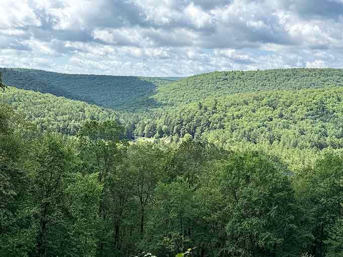 Rolling green mountains stretch endlessly like nature's own amphitheater, reminding you why Pennsylvania earned its "Penn's Woods" nickname.