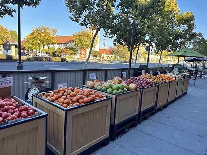 Morning light hits these outdoor bins like a farmer's market met a world tour and decided to stay.