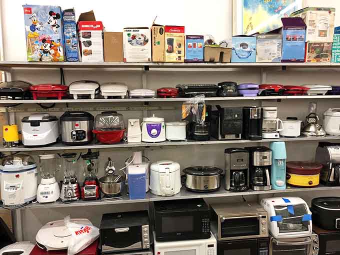 Coffee makers, rice cookers, and small appliances lined up like eager volunteers ready to serve your kitchen again.