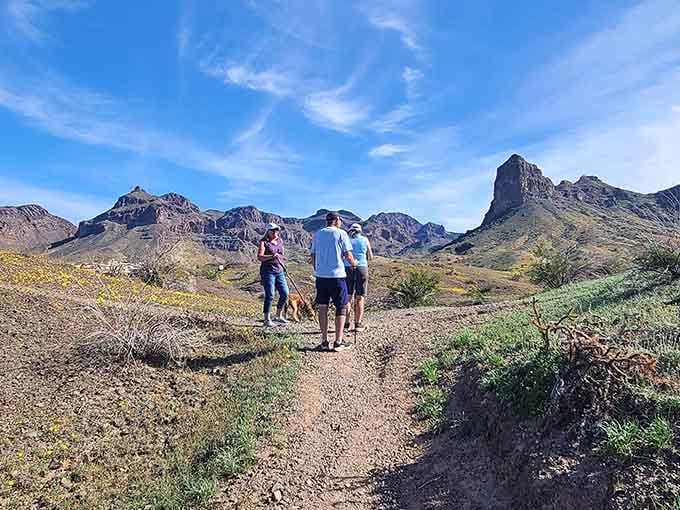 Desert hiking with mountain views that make you forget you're still within cell tower range, mostly.