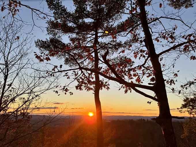 That sunset view through the trees is the kind of moment that makes you forget your phone exists.