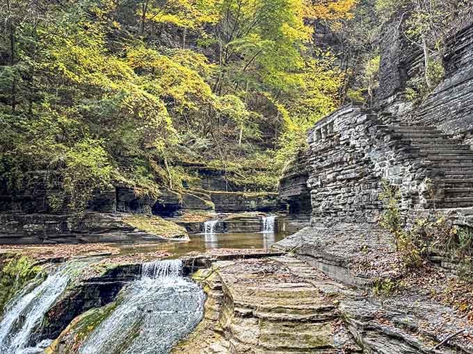 Layered rock walls tell millions of years of geological history in one stunning autumn snapshot.