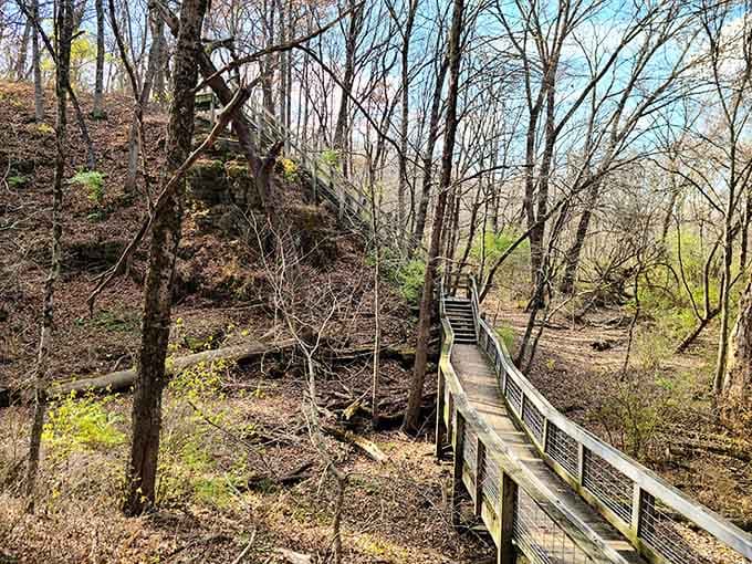 Wooden stairs wind through the forest like nature's own StairMaster, minus the gym membership and fluorescent lighting overhead.