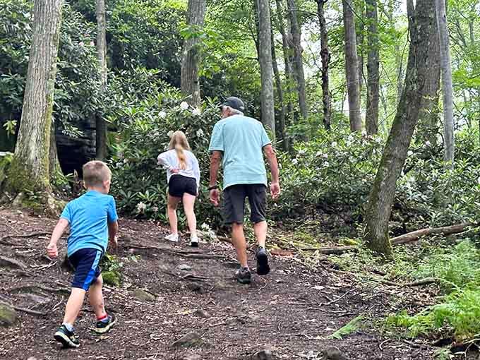 Family adventures begin where the trail meets the rocks, promising discoveries that beat any theme park hands down.