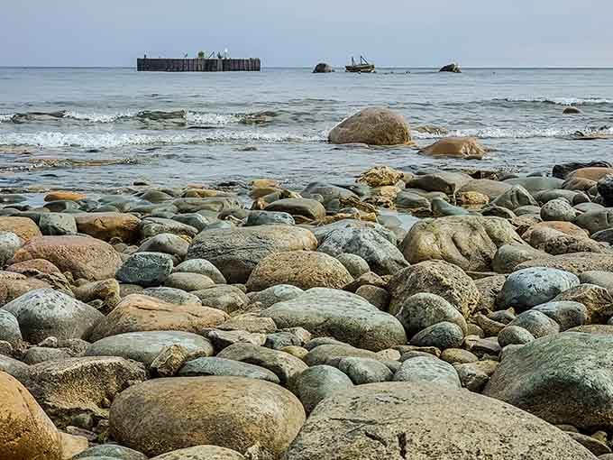 Each smooth stone along this shore could be hiding 450-million-year-old fossils just waiting for your discovery.