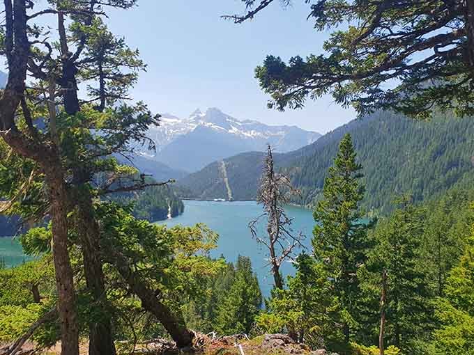 Through the trees, Ross Lake reveals itself like a turquoise secret the forest's been keeping.