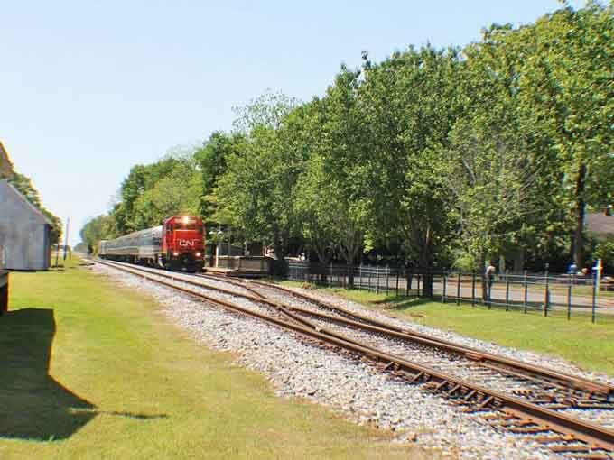 Real railroad tracks stretching into Georgia countryside, proving the best journeys still require actual rails and patient engineering.