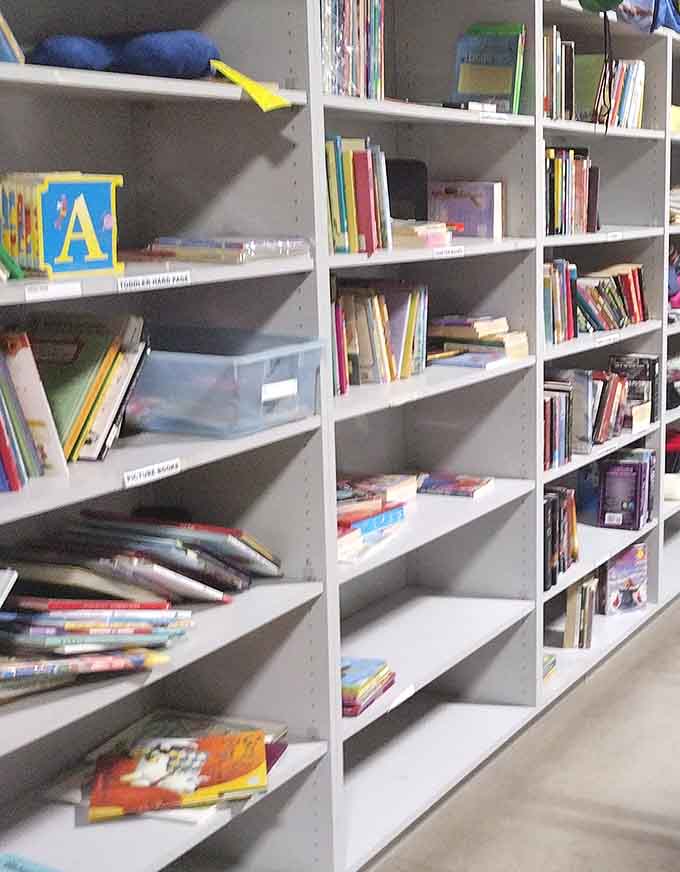 Books organized neatly on shelves, ready to fill your home library without emptying your retirement fund completely.
