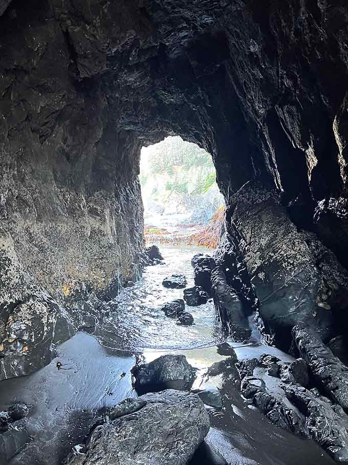 Hidden sea caves wait to be explored during low tide, offering shelter and wonder in equal measure.