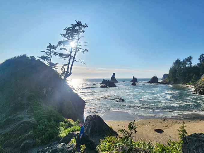 Morning light transforms the sea stacks into silhouettes that photographers dream about capturing perfectly.