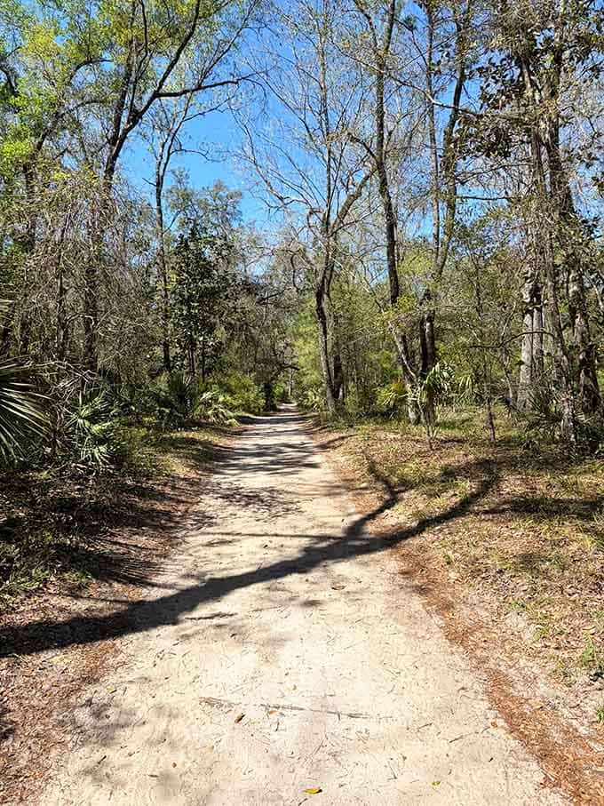 Sandy paths winding through native palms prove that not all Florida trails require climbing gear or superhero stamina.