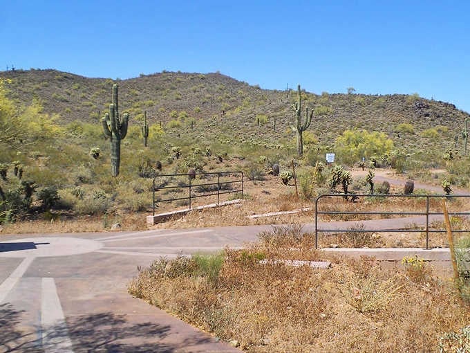 The preserve's entrance welcomes you to thousands of acres where the desert still calls the shots, gloriously untamed.