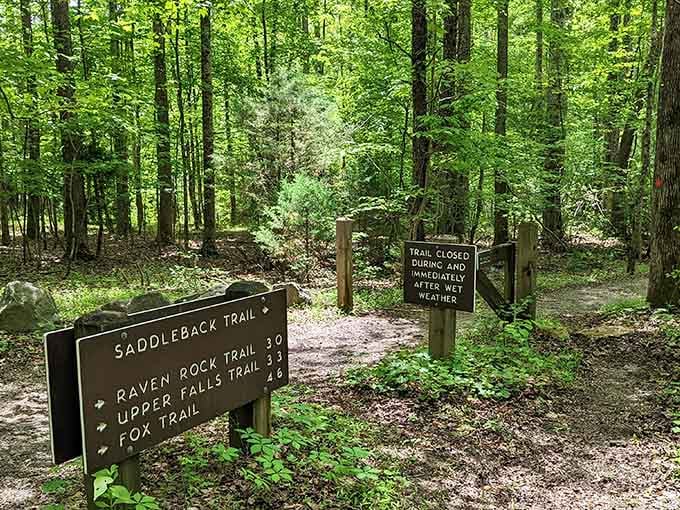 Trail signs point you toward adventures, each one promising something different and equally wonderful to discover.