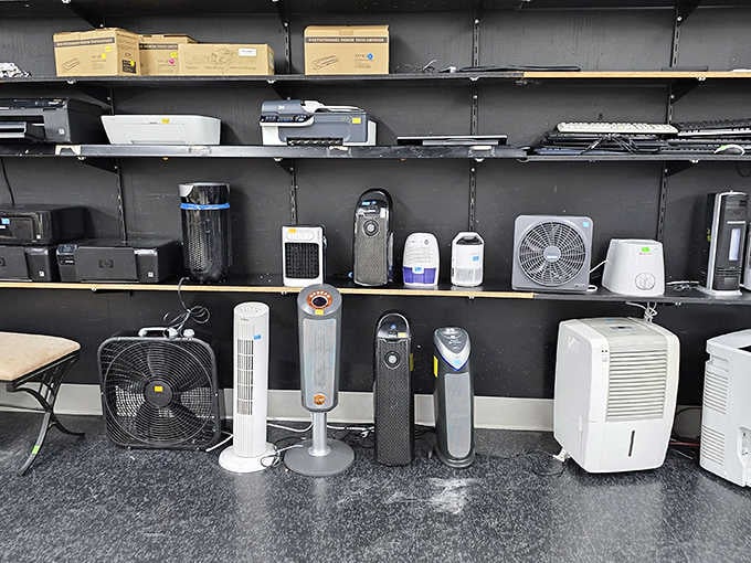 Fans and appliances standing at attention, ready to cool your home without overheating your budget in the process.