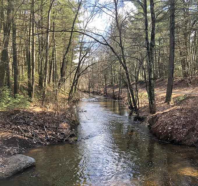Nature's soundtrack includes babbling brooks, which is infinitely better than honking horns and construction noise.
