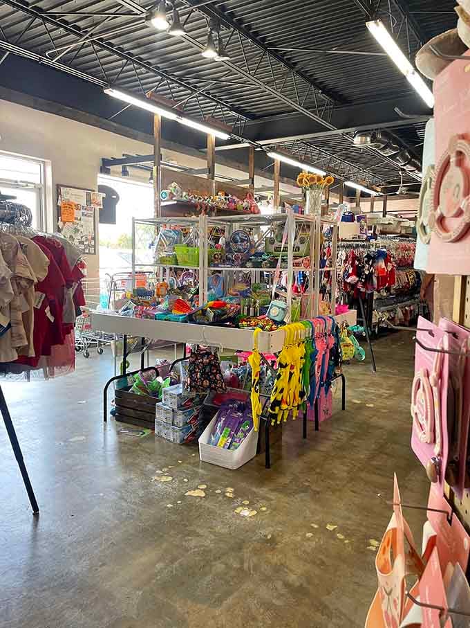 The toy section delivers childhood magic at prices that won't make you question every life decision you've ever made.