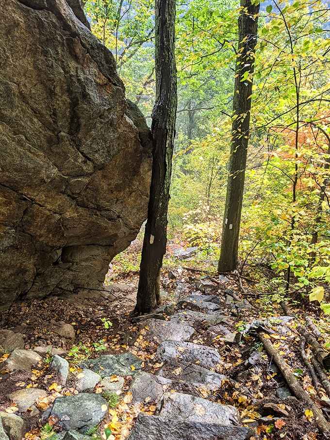 When the trail says "challenging," it means your calves will be writing strongly worded letters later.