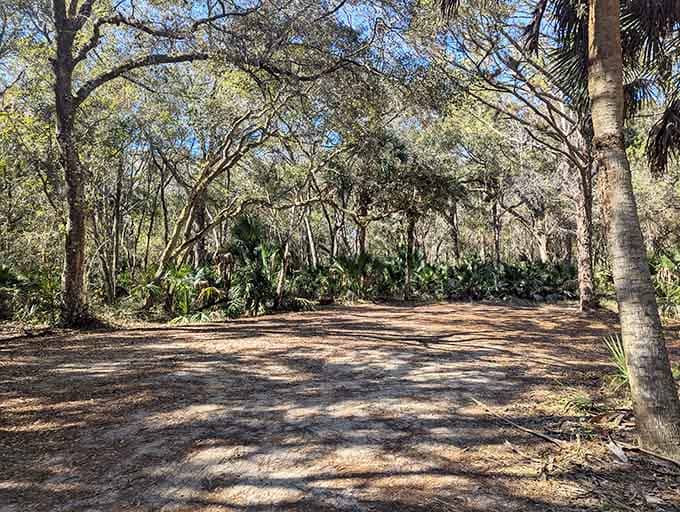 Wide clearings offer perfect spots to catch your breath and contemplate the lives once lived here.
