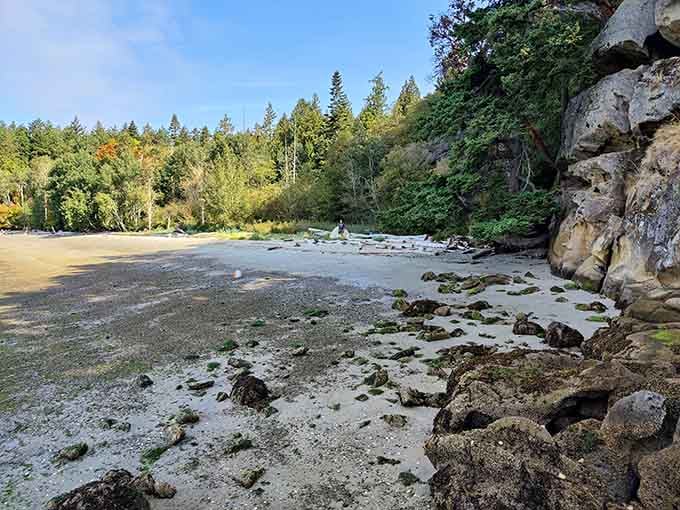 Low tide reveals a beach perfect for contemplating life's mysteries or just finding really cool rocks to skip.