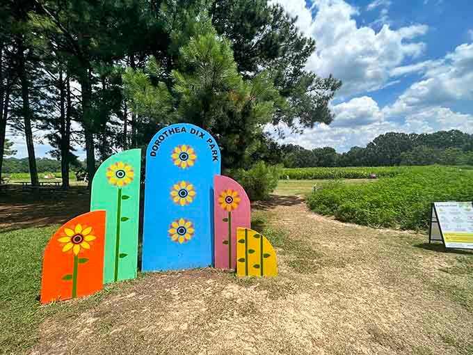 Colorful photo ops that make your vacation snapshots look like professional art without even trying hard.