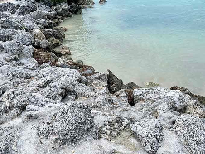 The rocky shoreline adds character to all that pristine beauty, like finding wisdom lines on a supermodel's face.