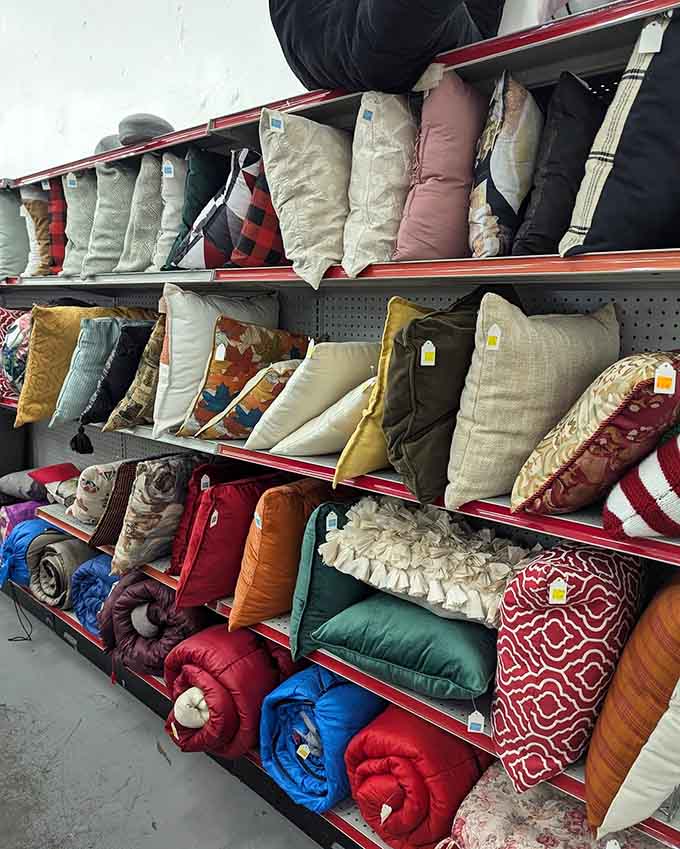 Throw pillows in every shade imaginable, because your couch deserves options without breaking the bank completely.