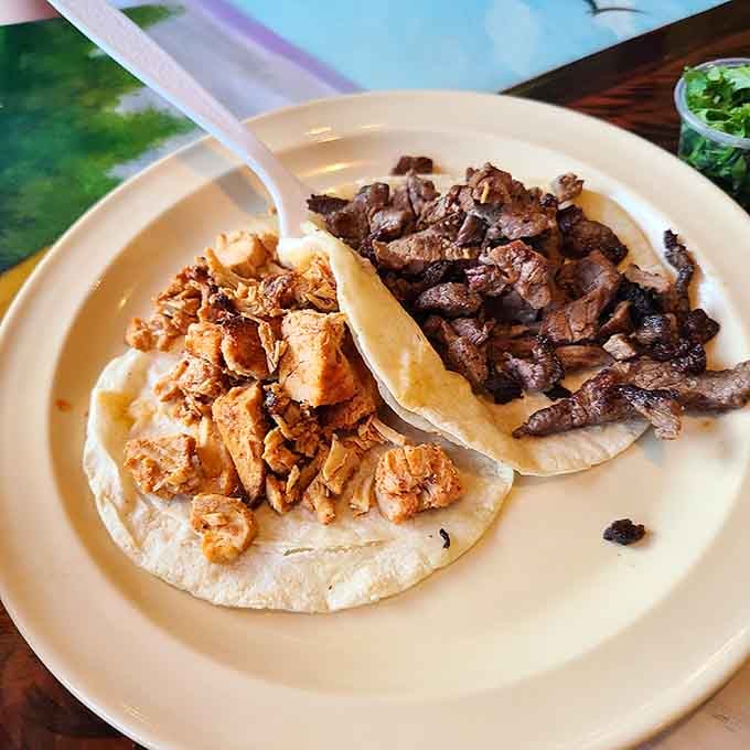 Carne asada and carnitas tacos proving that sometimes the simplest presentations deliver the most spectacular flavors imaginable.
