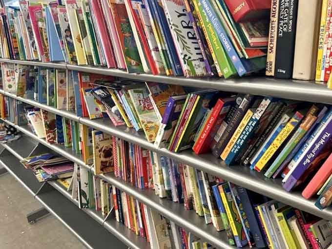 Books lined up like old friends waiting to be rediscovered, each spine holding stories someone else loved first.