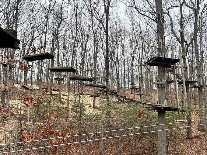 Suspension bridges that make you reconsider every action movie stunt you thought looked easy on screen.