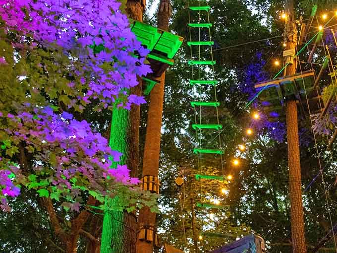 That green ladder climbs straight into adventure territory, where every rung brings you closer to something extraordinary.