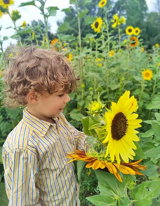 Young visitors discover the simple joy of examining flowers up close, creating memories that'll last far longer than screen time.