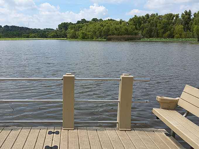 Benches positioned at scenic overlooks prove someone actually thought about where you'd want to rest.