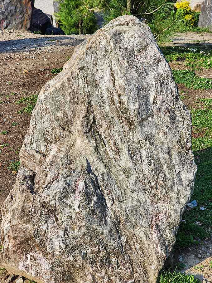 This weathered giant has witnessed more history than every textbook combined, and it's not going anywhere soon.