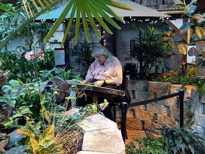 This gentleman's found the perfect spot to observe nature's aerial ballet amid the tropical greenery.