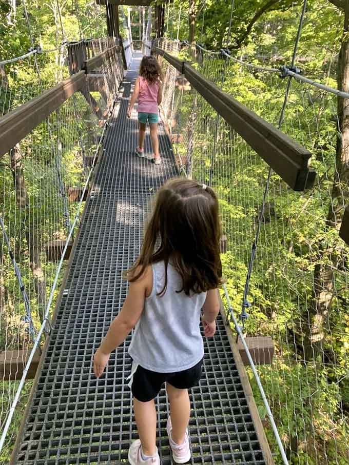 Kids naturally fearless at heights while adults grip railings and contemplate their life insurance policies.