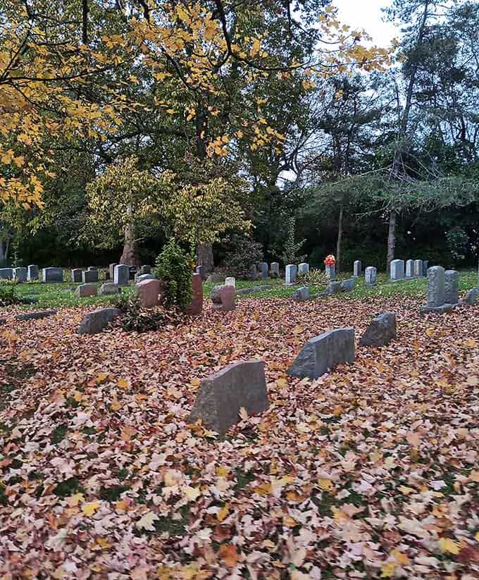 Autumn transforms the grounds into a carpet of copper and gold that crunches satisfyingly underfoot.