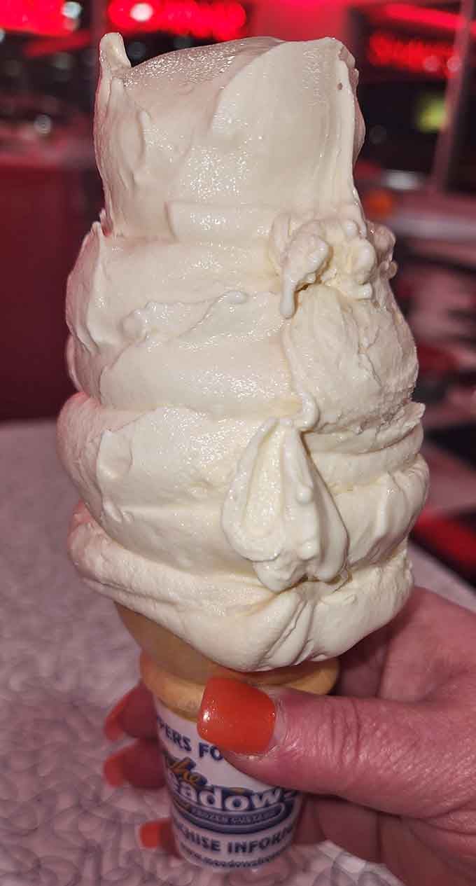 When your vanilla cone needs structural engineering to stay upright, you know you're getting your money's worth here.